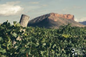 Bodegas Juan Gil-Viñas Familia Gil - Ruta del Vino Jumilla