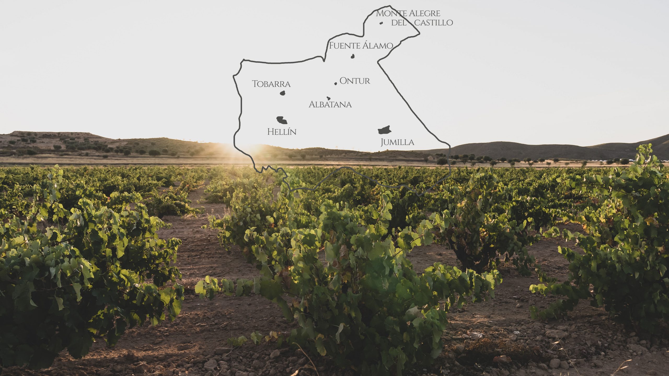 La D.O.P. Jumilla - Ruta del Vino Jumilla